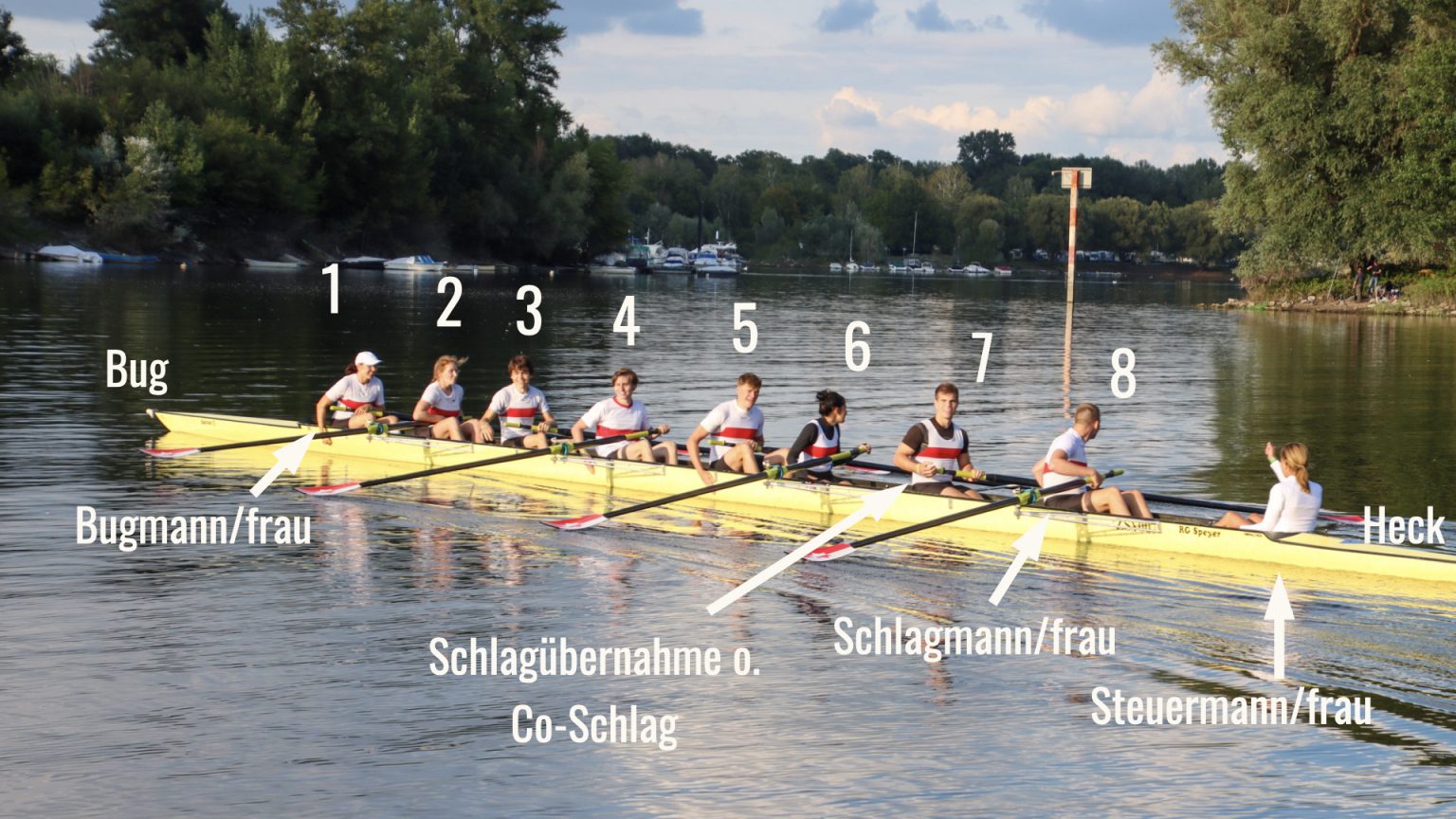 Positionen und Aufgaben im Boot – Wir Rudern
